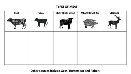 Types of Meat Food & Nutrition Activity | Teaching Resources