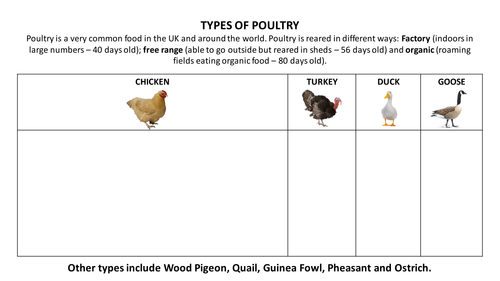 Types of Poultry Food & Nutrition Activity | Teaching Resources