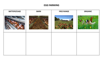 Types of Egg Farming Conventional and Sustainable Methods Food ...