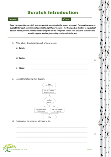 Scratch BasicsTest | Teaching Resources
