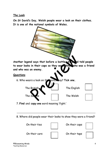 St David's Day Comprehension - Year 2 | Teaching Resources