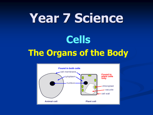 Year 7 Biology - Cells Topic | Teaching Resources