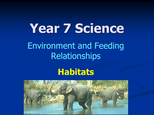 Year 7 Biology - Environment and Feeding Relationships Topic | Teaching ...