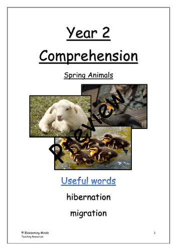 Spring Animals (wildlife) comprehension - Year 2 SATs style | Teaching ...