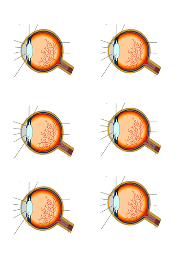 AQA Biology 4.5 - L5 The Eye | Teaching Resources