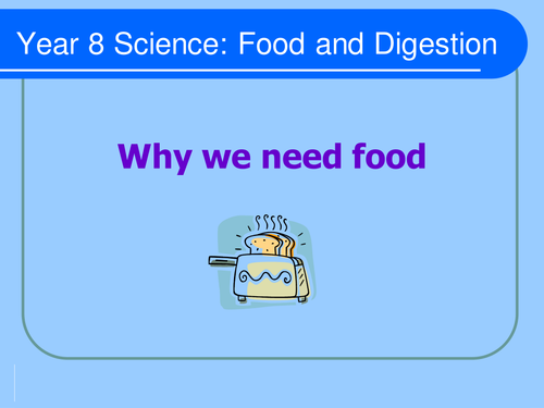 Year 8 Biology - Food and Digestion Topic | Teaching Resources