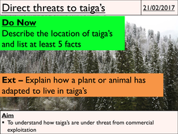Forests Under Threat - Taiga Forests | Teaching Resources
