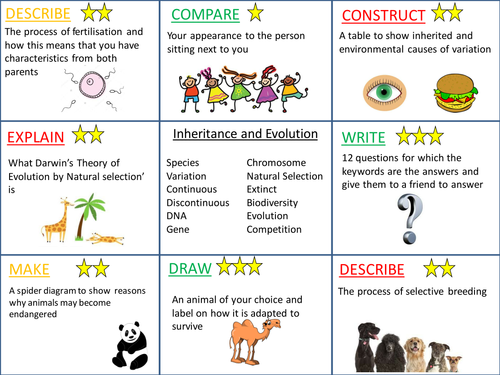 Inheritance and Evolution revision activities new KS3 | Teaching Resources