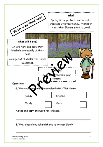 What can I do in the spring? - Comprehension - Year 2 | Teaching Resources