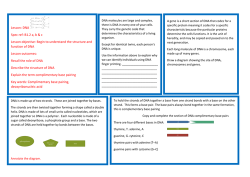 OCR Biology, combined science GCSE DNA | Teaching Resources