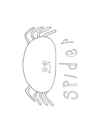Minibeasts: Spider | Teaching Resources