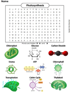 Photosynthesis Word Search | Teaching Resources