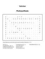 Photosynthesis Word Search | Teaching Resources