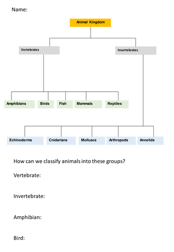 Classifying animals information gathering task | Teaching Resources