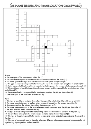 A Level Biology: Crossword Pack on Plant Tissues, Translocation and ...