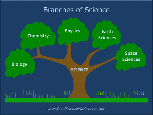 Branches of Science [Presentation] | Teaching Resources