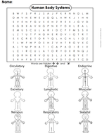 Human Body Systems Word Search | Teaching Resources