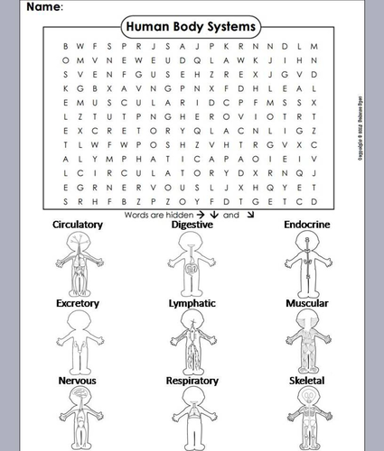 Human Body Systems Task Cards and Activities Bundle | Teaching Resources