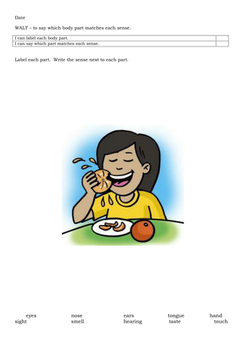 KS1 Animals Including Humans Unit - Animals Herbivore Humans Senses ...