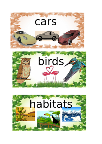 All You Need to Set up a Primary Library - Classification Key, Labels ...