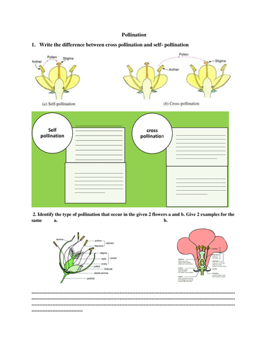 Pollination | Teaching Resources