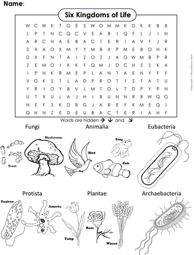 The Six Kingdoms of Life Word Search | Teaching Resources