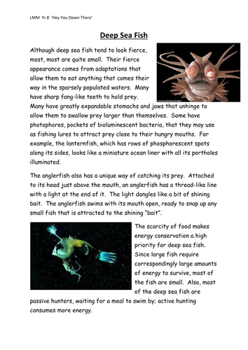 Hey You Down There | Teaching Resources