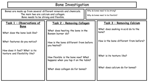 Bone Composition Investigation | Teaching Resources