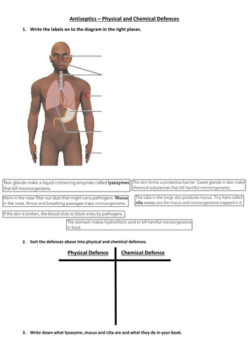 Antiseptics | Teaching Resources
