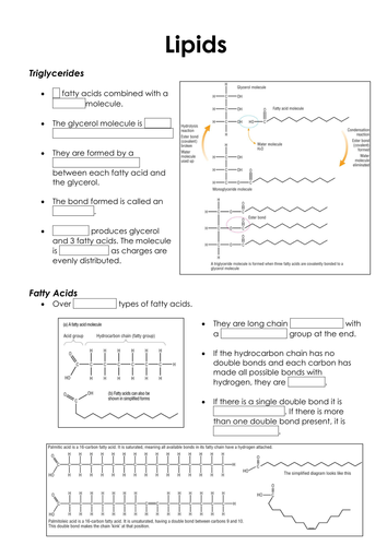 OCR A level Biology 2.1.2 Lipids | Teaching Resources