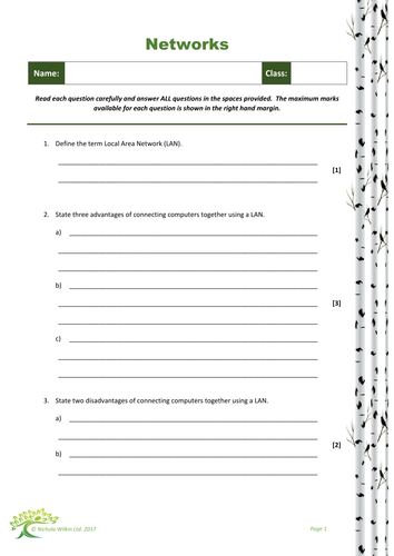 Networks Test | Teaching Resources