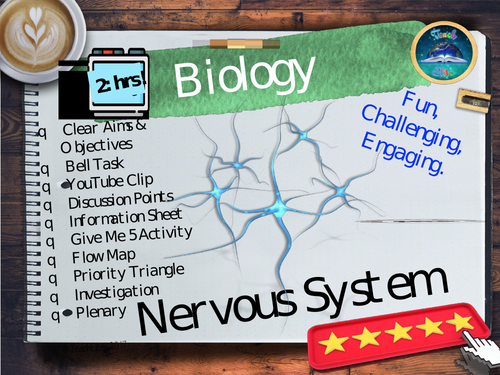 Nervous System | Teaching Resources