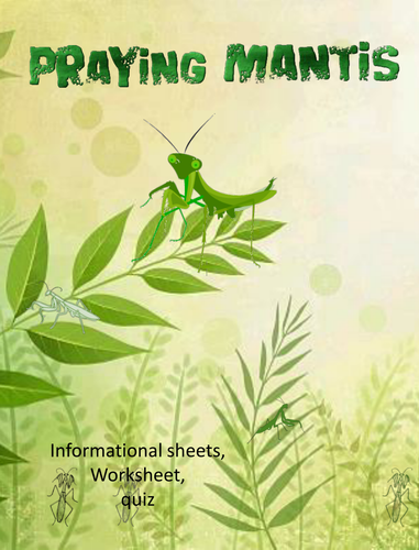 Life cycle of a Praying Mantis | Teaching Resources