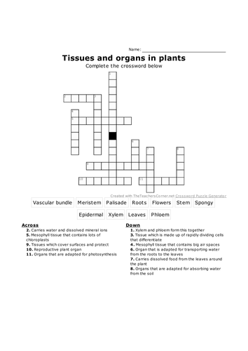 GCSE biology crosswords NEW specification Chapter 4 Organising animals ...