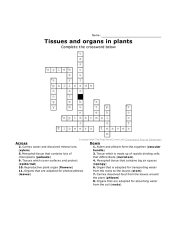 GCSE biology crosswords NEW specification Chapter 4 Organising animals ...