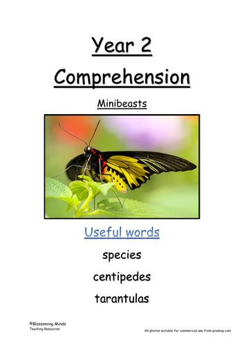 Year 2 comprehension - Minibeasts - Science | Teaching Resources