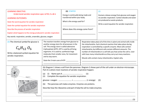 OCR Gateway GCSE Biology / Combined science aerobic respiration new ...