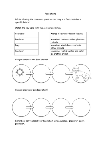 Y3/ Y4 Food chain lesson (Habitats Unit) differentiated worksheet & PPT ...