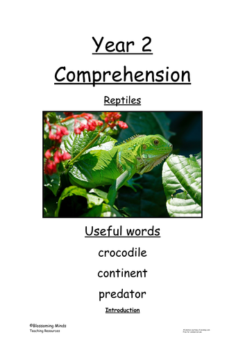 Reptiles non-fiction comprehension - Year 2 | Teaching Resources