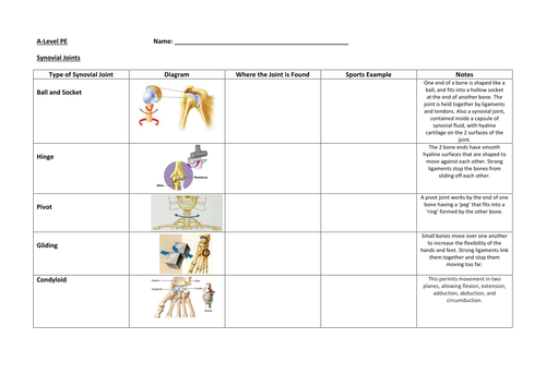 Joints of the Body and Synovial Joints | Teaching Resources