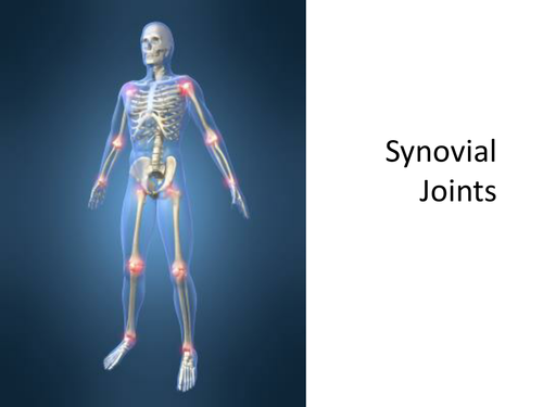 Joints of the Body and Synovial Joints | Teaching Resources