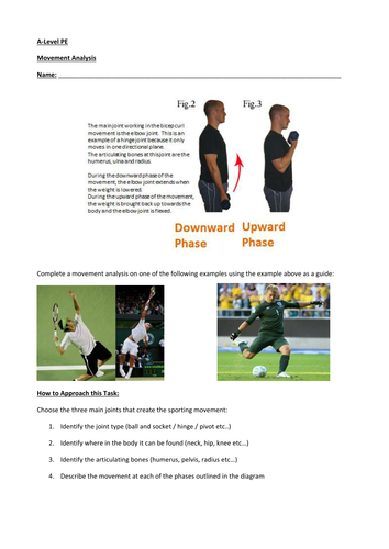 Joint Movements and Movement Analysis | Teaching Resources
