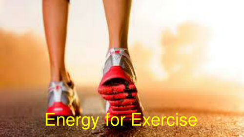 Energy for Exercise | Teaching Resources