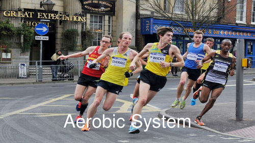 Aerobic Energy system and Exercise | Teaching Resources