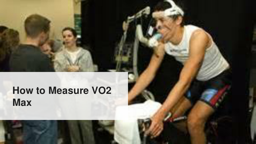 V02 Max | Teaching Resources