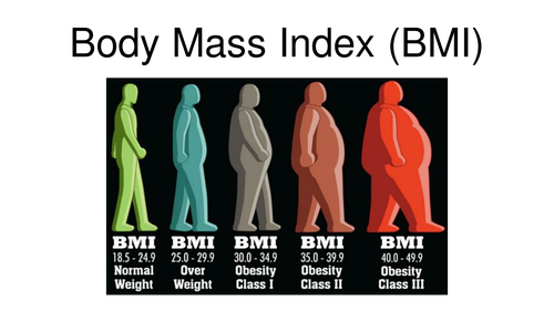 Body Composition | Teaching Resources