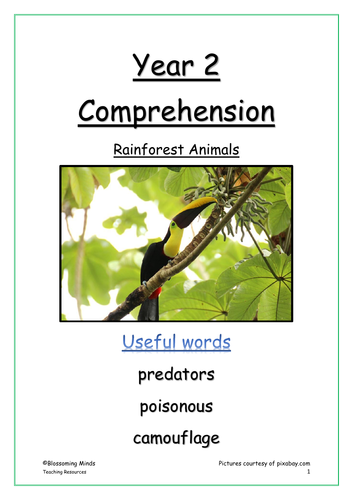 Rainforest Animals comprehension - Year 2 | Teaching Resources