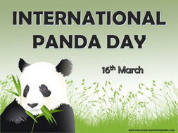 International Panda Day - Presentation and Activities | Teaching Resources