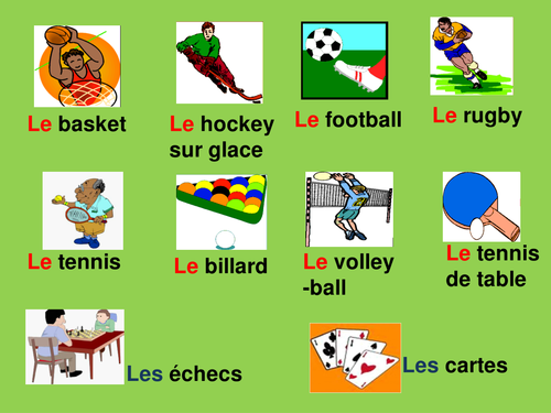 BUNDLE - Hobbies and Sport full introduction pack | Teaching Resources