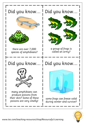 Fun Fact Cards: Amphibians | Teaching Resources